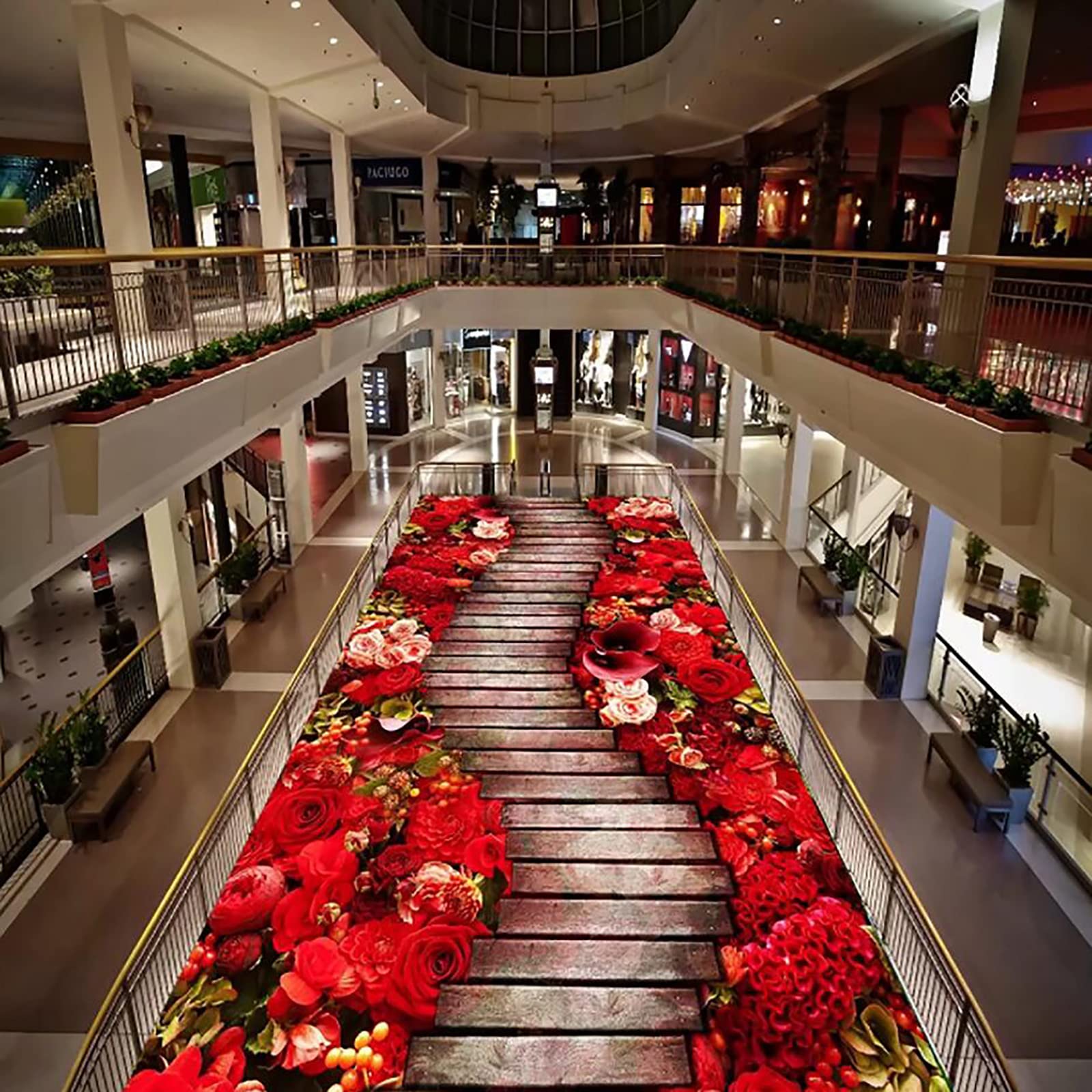 Amazon.com: SDGWEG 3D Optical Illusion Rug for Living Room,Lotus Ocean ...