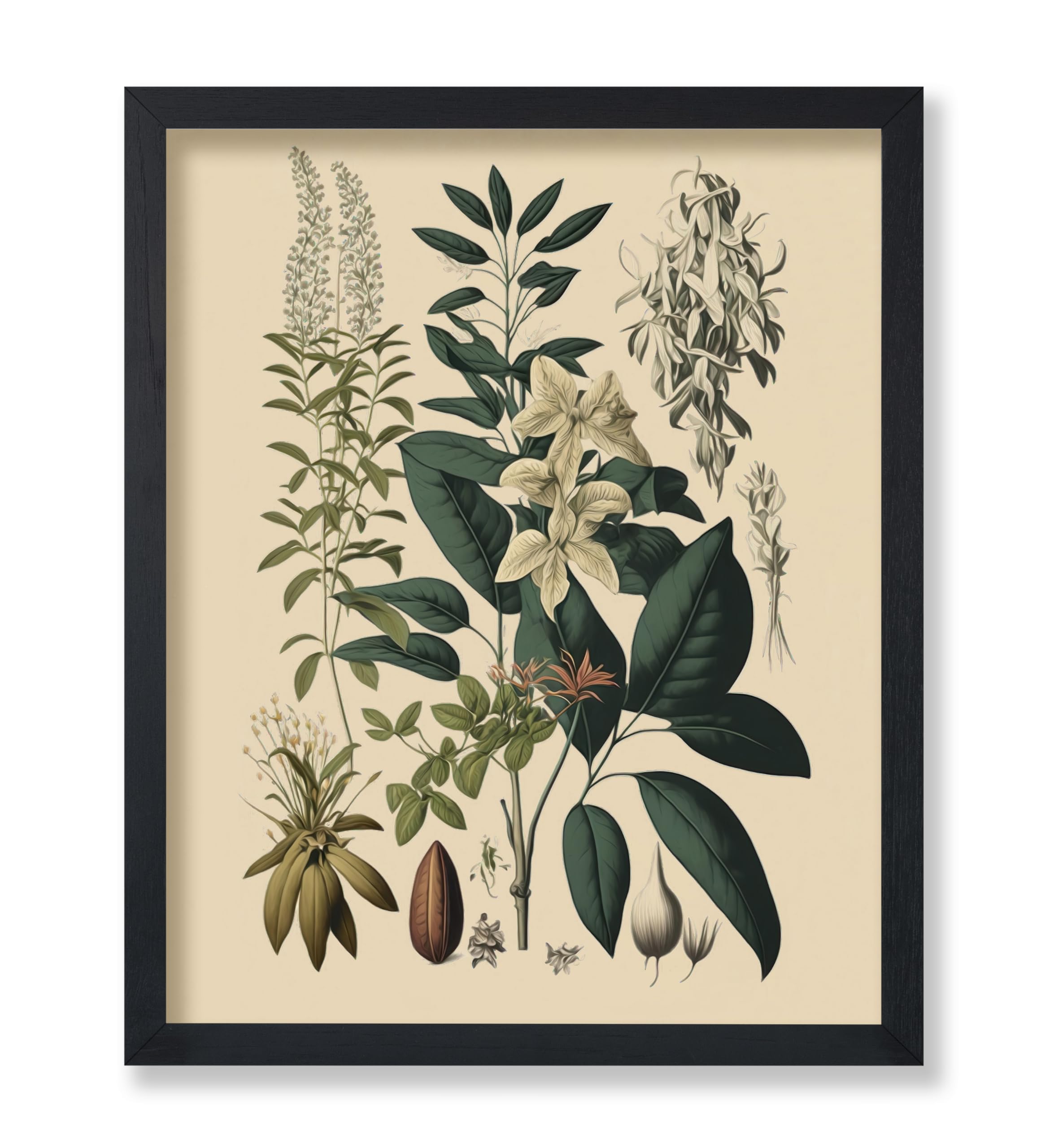 Amazon.com: Poster Master Vintage Orchid Poster - Retro Wild Flower ...