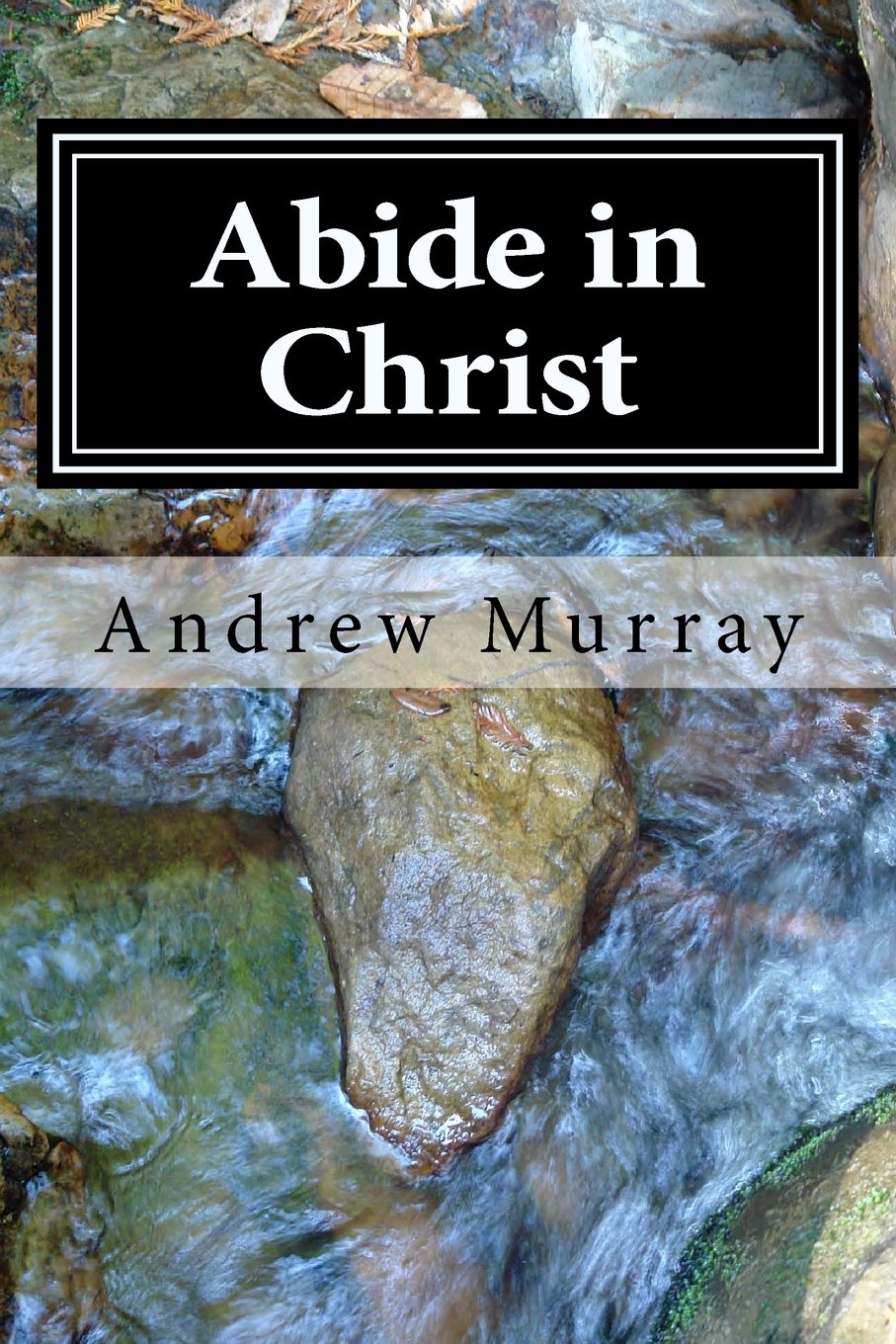 Abide in Christ: Murray, Andrew: 9781984016256: Amazon.com: Books