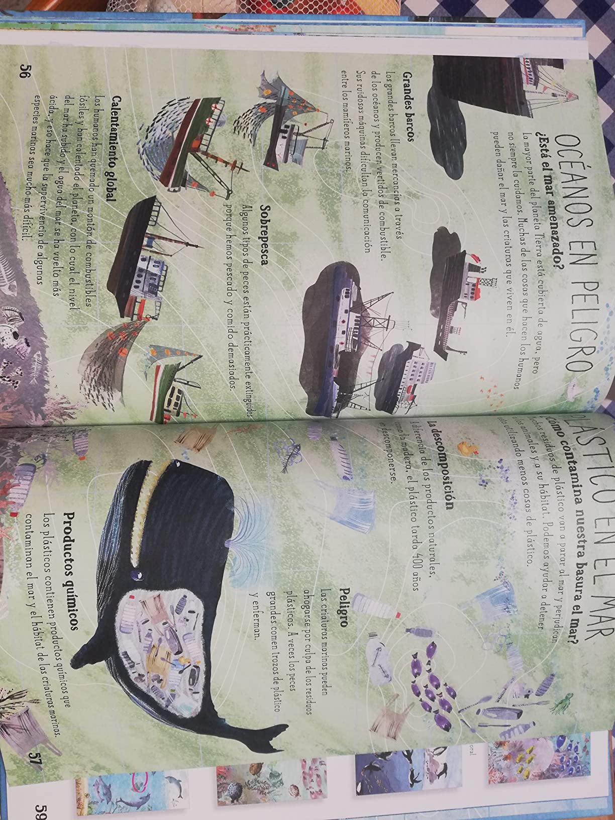 El gran libro del mar (Álbumes Ilustrados) : Yuval Zommer, Yuval Zommer ...