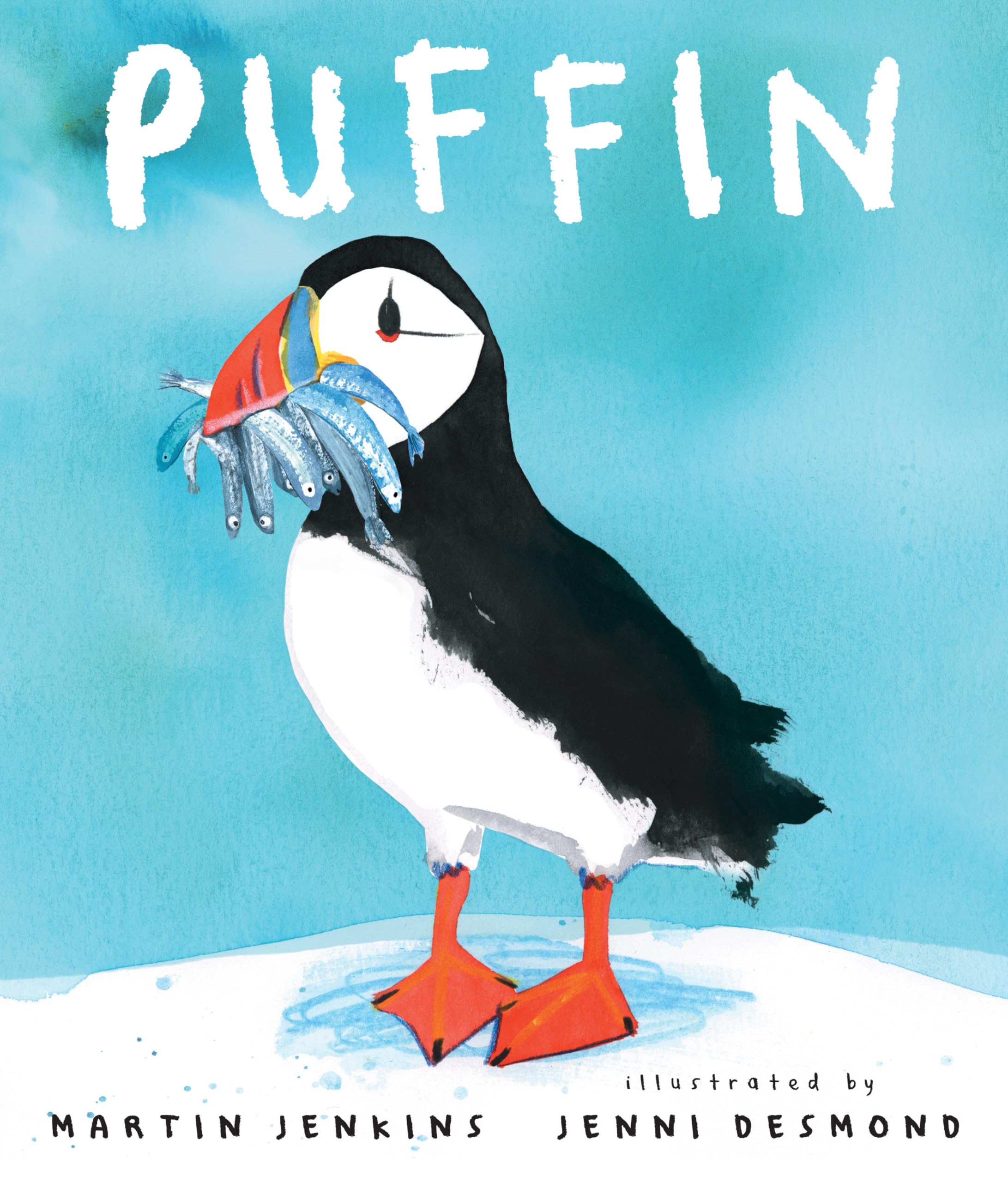 Puffin: Jenkins, Martin, Desmond, Jenni: 9781536228502: Amazon.com: Books