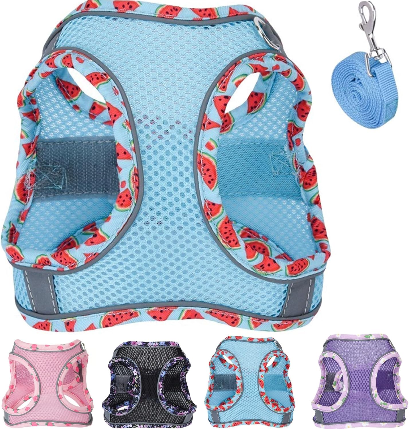 Amazon.com : Petank Dog Harness for Small Medium Dogs No Pull, Puppy Harness and Leash Set, Mesh ...