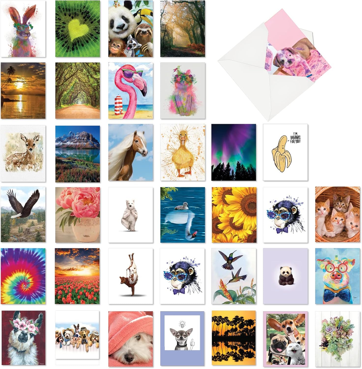 Amazon.com : The Best Card Company - 36 Assorted Blank Notecards Bulk ...