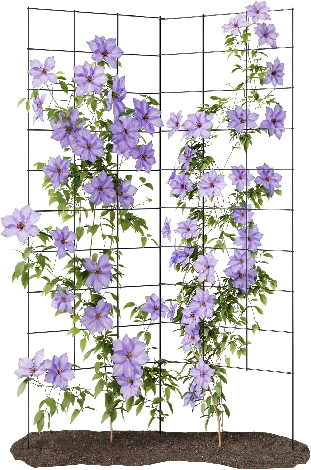 Amazon.com : 2-Panel Folding Garden Trellis - Maximize Your Garden ...