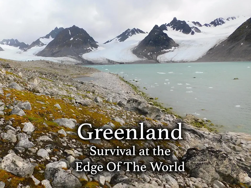 Ambulance Parking: Car Crash Scene Protocols | ShunAuto