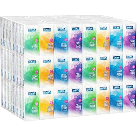 Amazon.com: Premium Facial Tissues, Travel and Pocket Size, Bulk (192 ...
