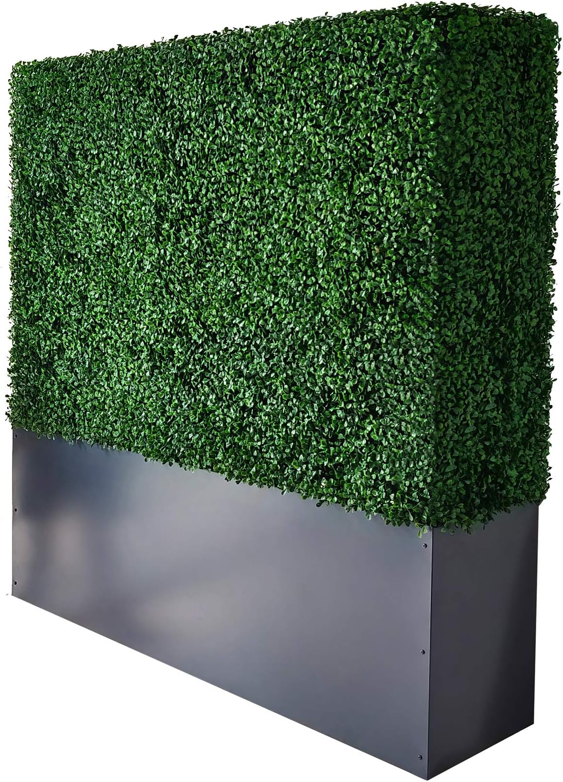 Amazon.com: 3rd Street Inn Square Gardenia Hedge Wall - Outdoor ...