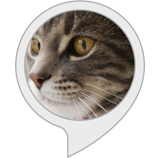 Amazon.com: Cat Facts : Alexa Skills