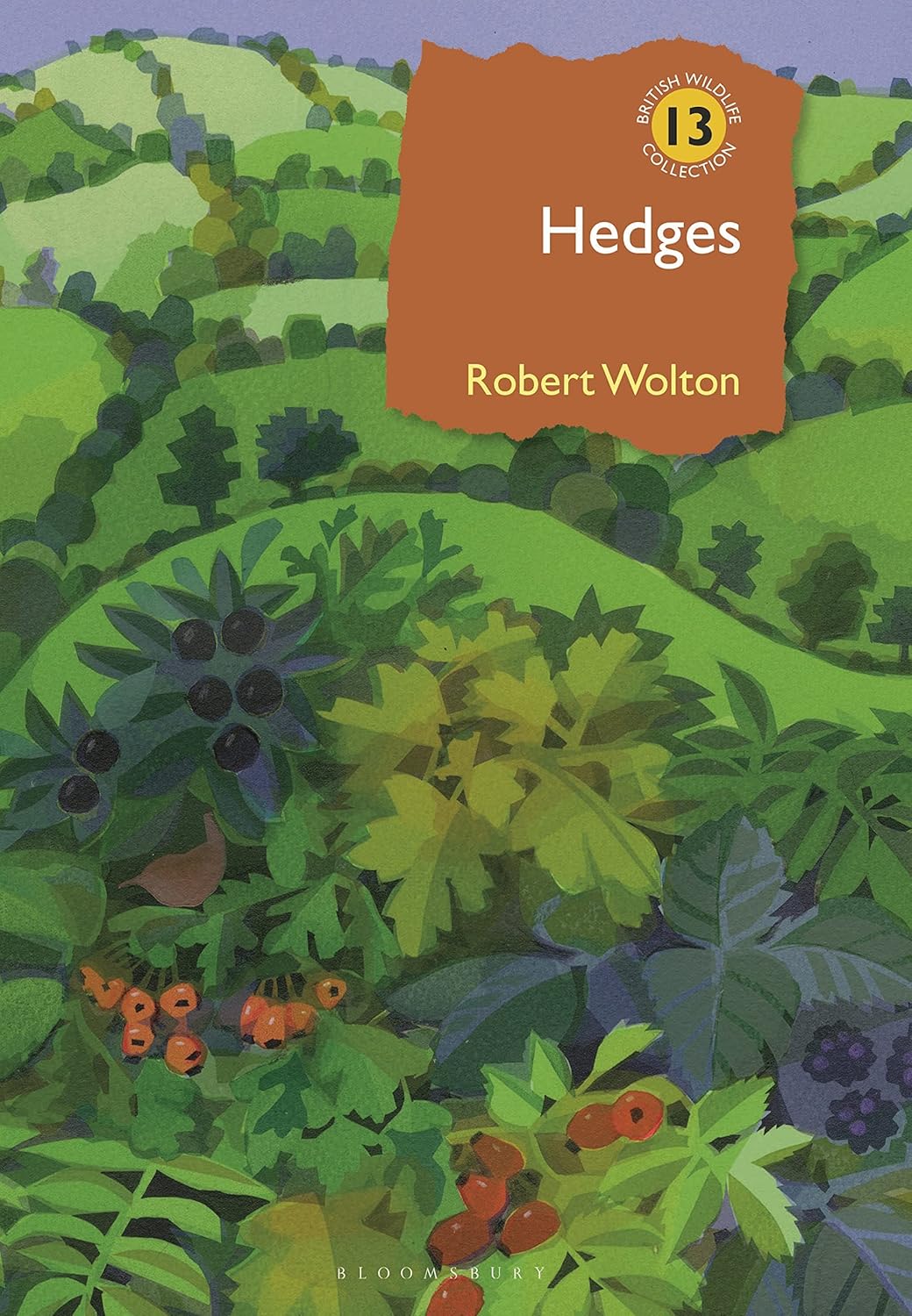 Hedges (British Wildlife Collection) : Robert Wolton: Amazon.co.uk: Books