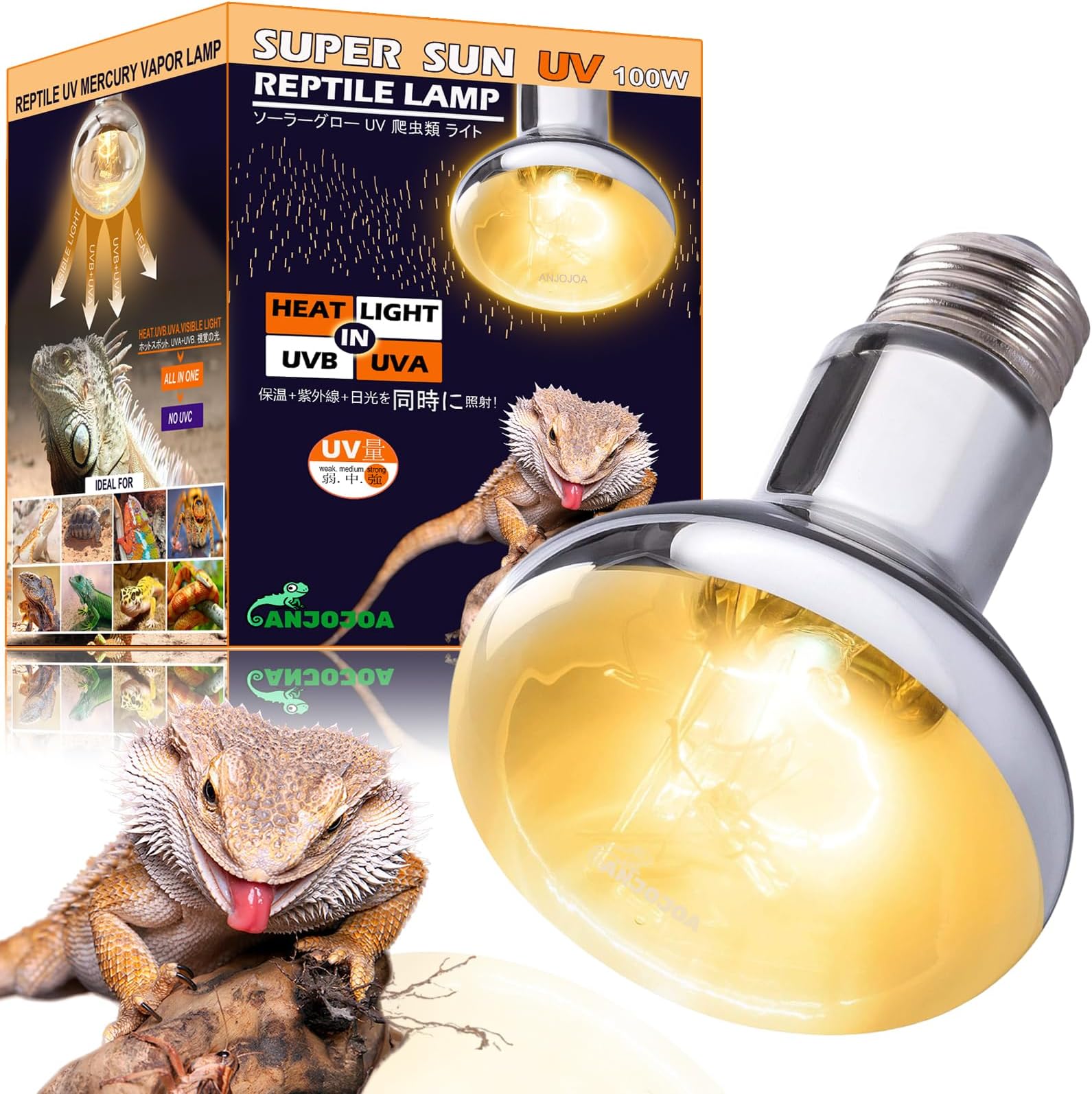Amazon.com: Bulborama Reptile Light Bulb SB 160 WATT R40 Flood Solar ...