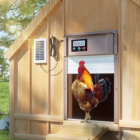 Amazon.com: Chickcozy Automatic Chicken Coop Door Opener with Timer ...