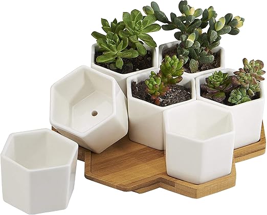Amazon.com: FLOWERPLUS Planter Pots Indoor, 7 Pack 2.75 Inch Modern ...
