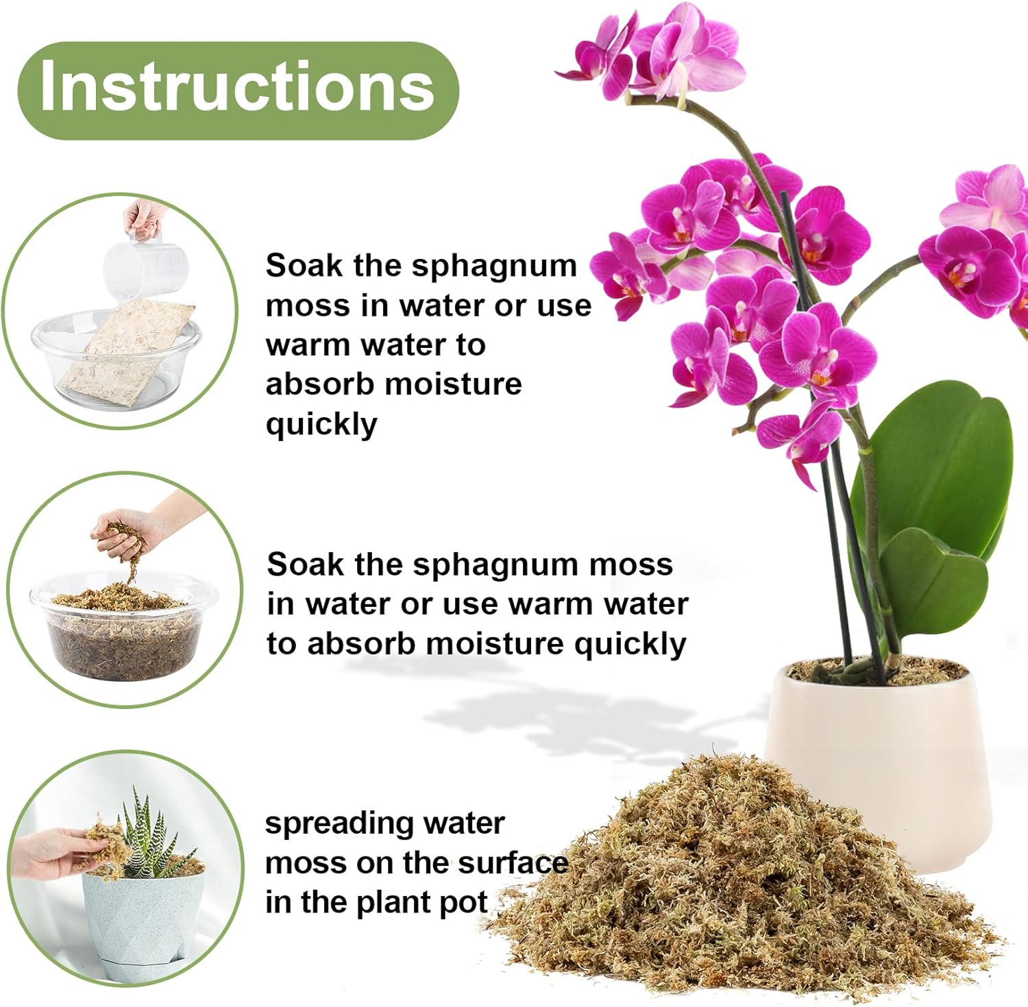 Sukh Musgo esfagnum para plantas de 25 onzas, musgo de turba de esfagno ...