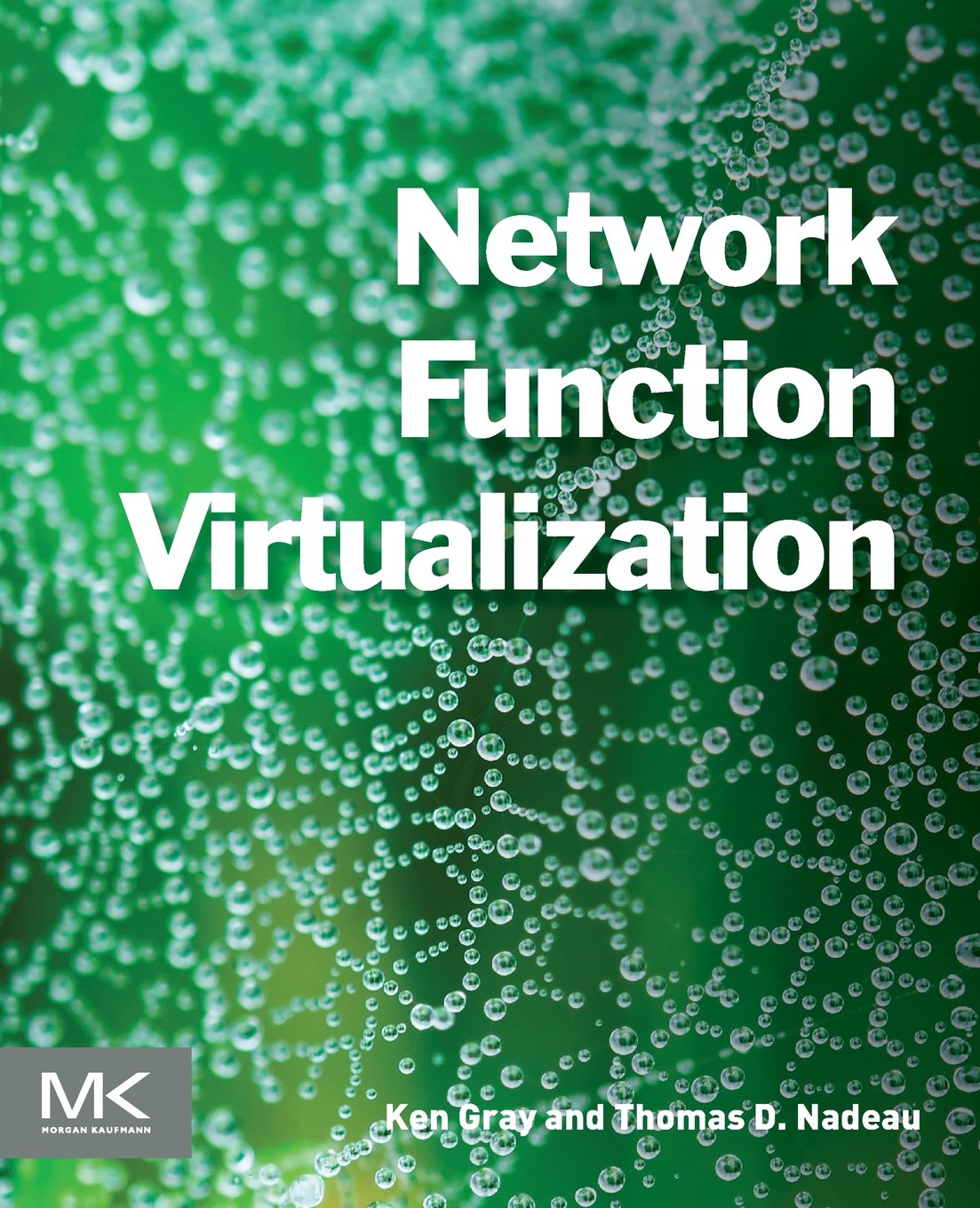 Amazon.com: Network Function Virtualization: 9780128021194: Gray, Ken ...