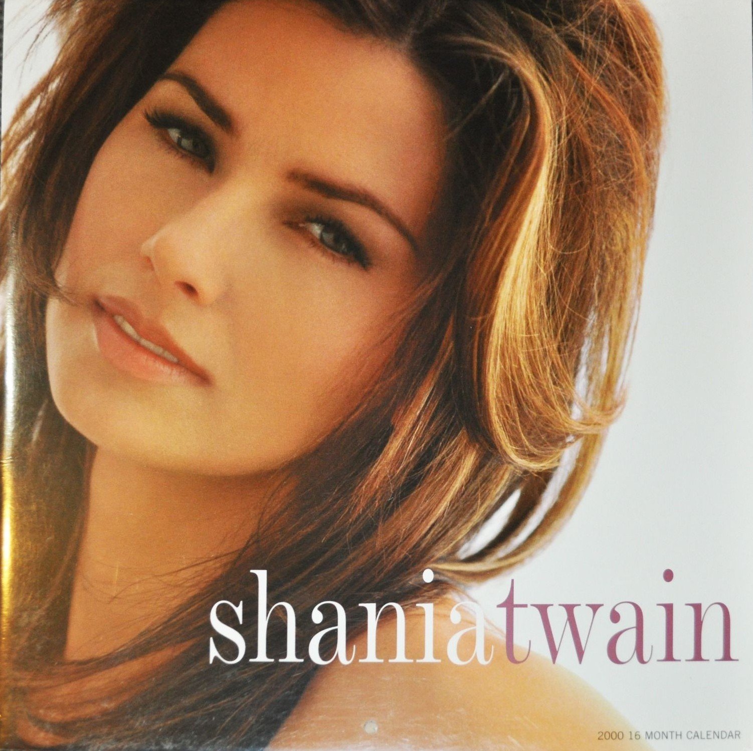 Shania Twain 2000