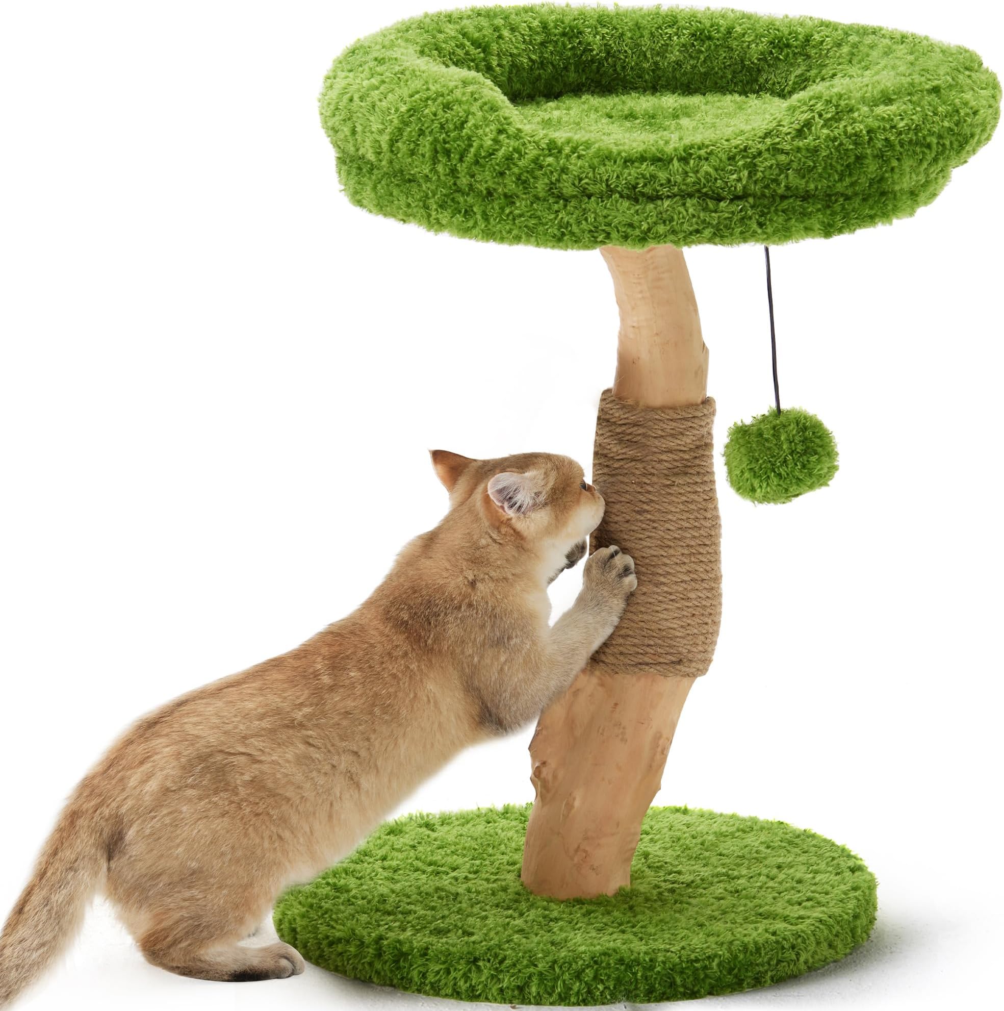 Amazon.com : Cat Scratching Post, 20" Plant Style Kitten Scratcher ...