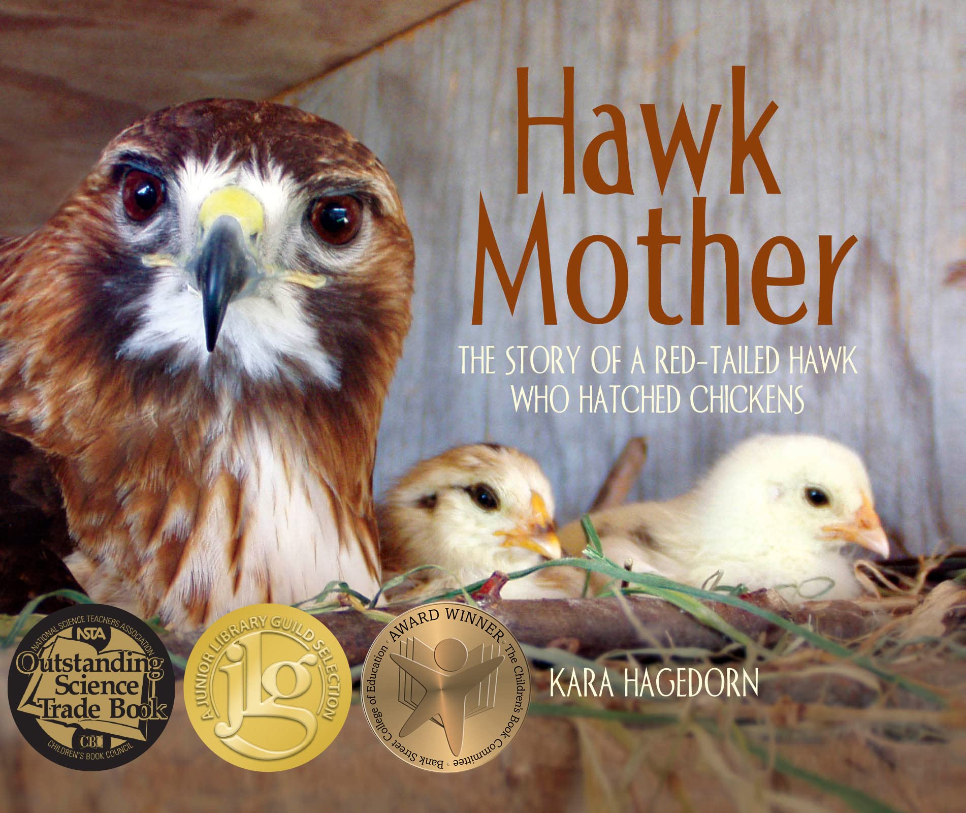 Hawk Mother: The Story of a Red-tailed Hawk Who Hatched Chickens (Hawk ...