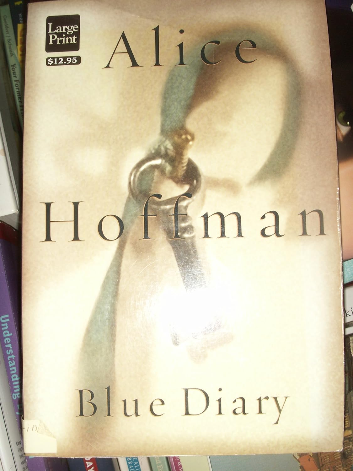 Blue Diary: Hoffman, Alice: 9781568951966: Amazon.com: Books