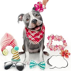 Amazon.com: Freshcut Paper Pop Up Pet Cards, Gifts for Dog Lovers ...