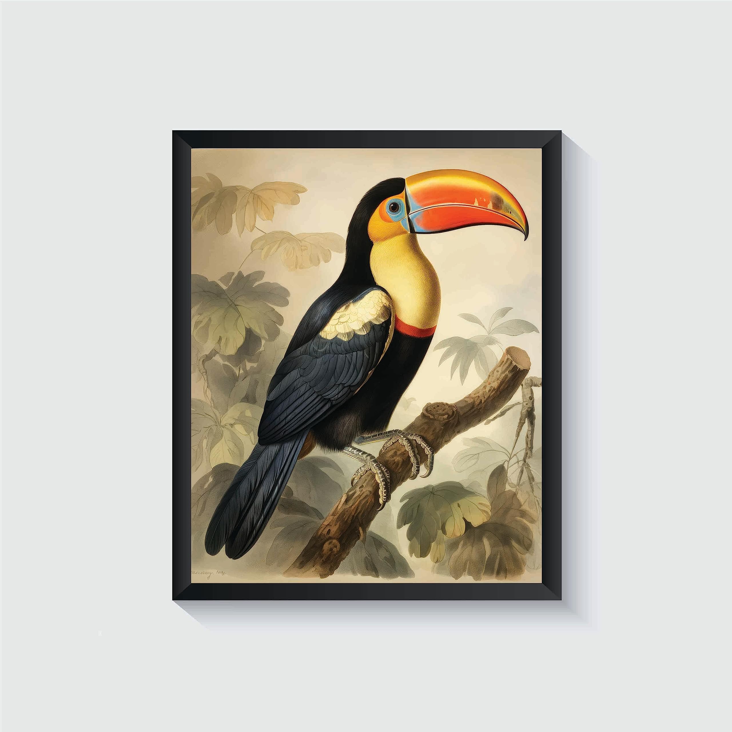 Amazon.com: Toucan Poster Art Print Retro Vintage Bird Wall Art Poster ...