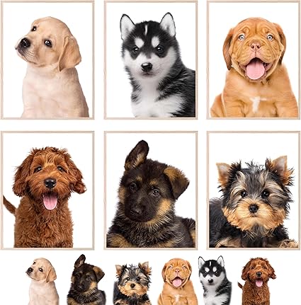 Amazon.com: Insire Dog Posters for Wall, Wall Art, Doggie Posters for ...
