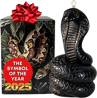 Amazon.com: LIDY Black Snake Candle 7in, 30hr, Gift Box - Snake Big ...