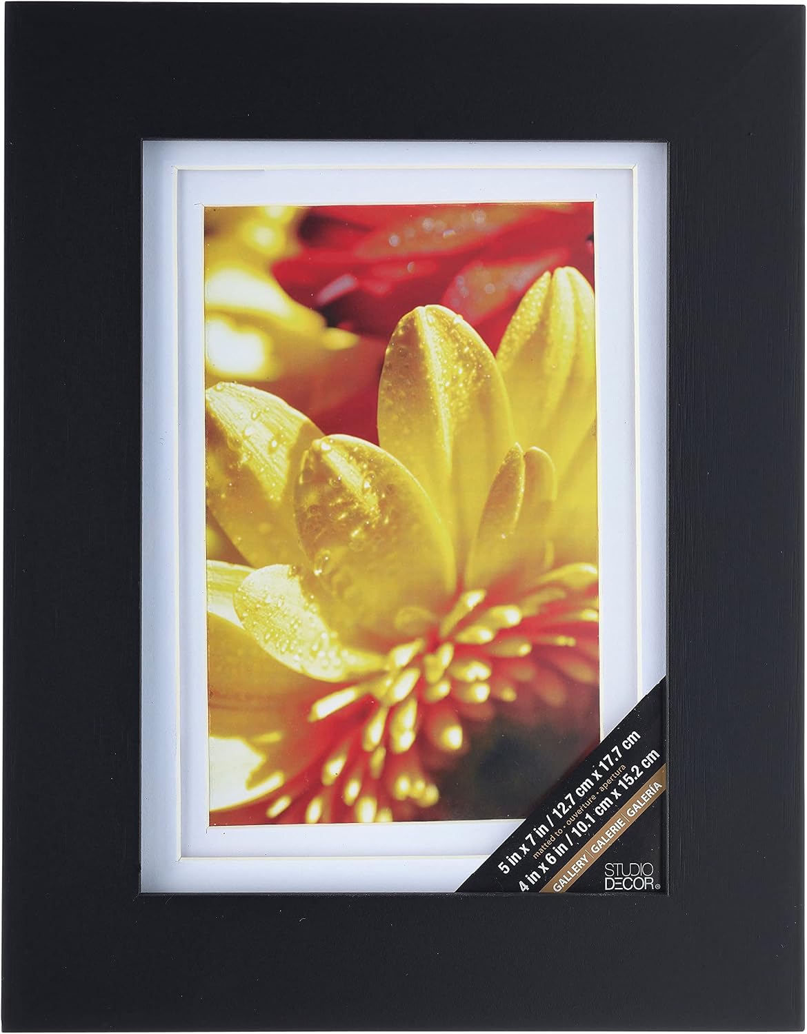 Amazon.com - Studio Decor Gallery Black Frame with Double Mat