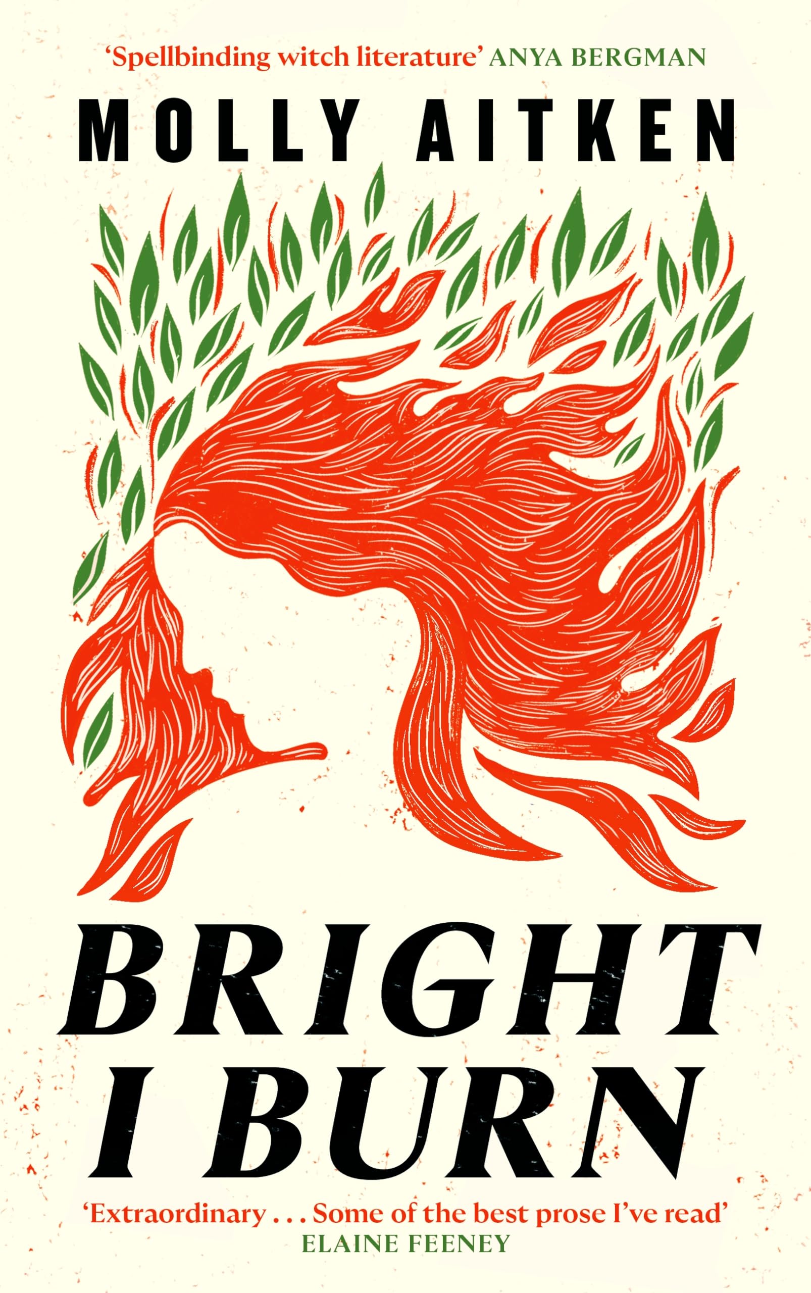 Bright I Burn: Amazon.co.uk: Aitken, Molly: 9781786898388: Books