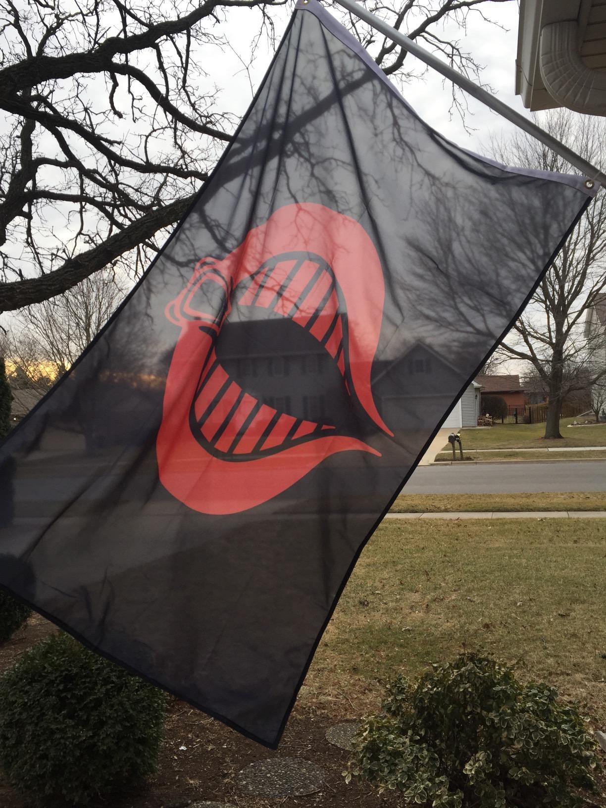 Amazon.com: Cobra Flag 3' x 5'… : Everything Else