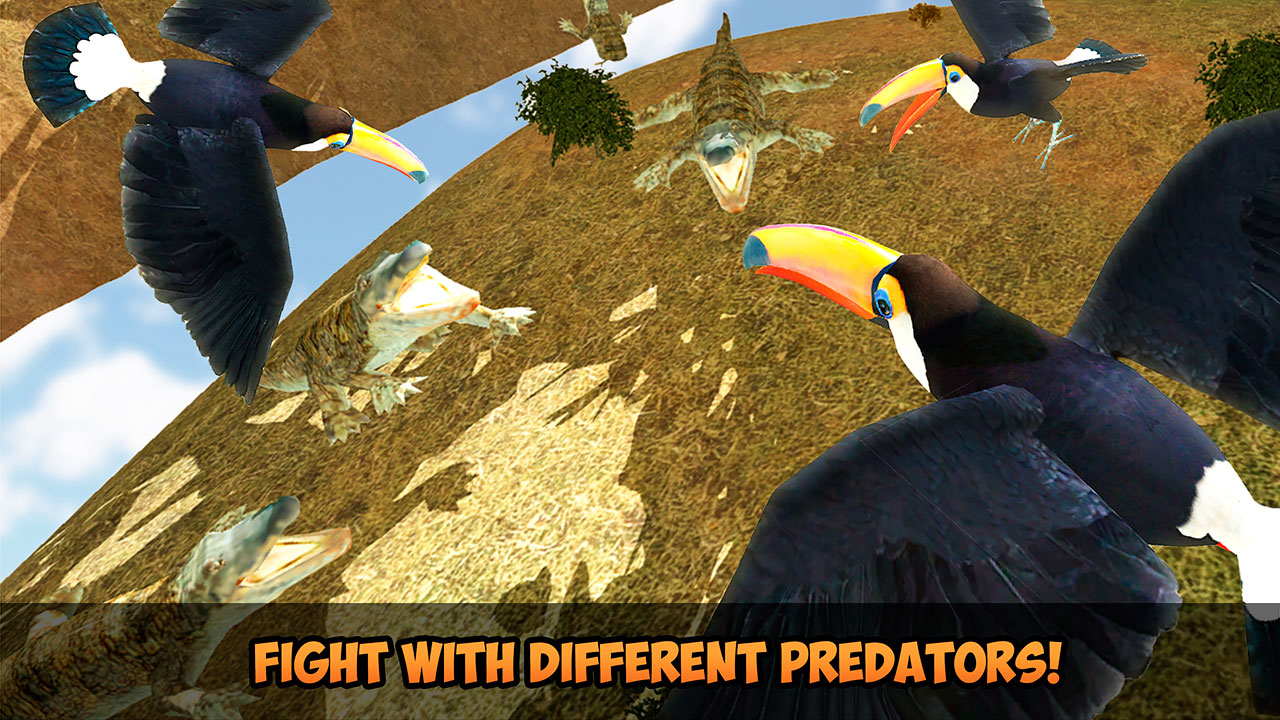 Toucan Exotic Bird Simulator 3D - App on Amazon Appstore