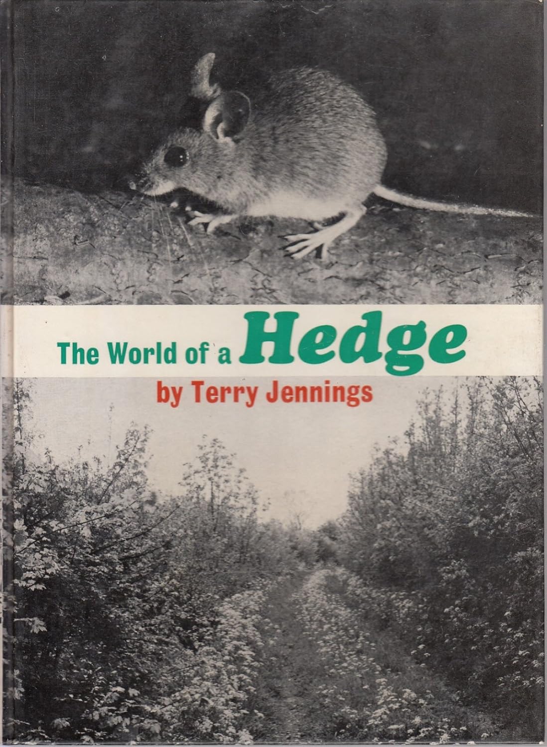 Buy World of a Hedge Book Online at Low Prices in India | World of a ...