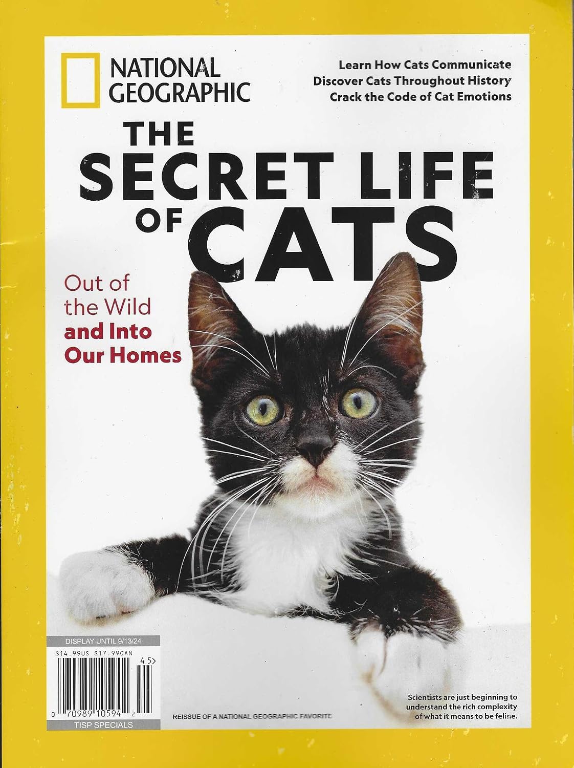 National Geographic: The Secret Life of Cats 2024: Amazon.com: Books