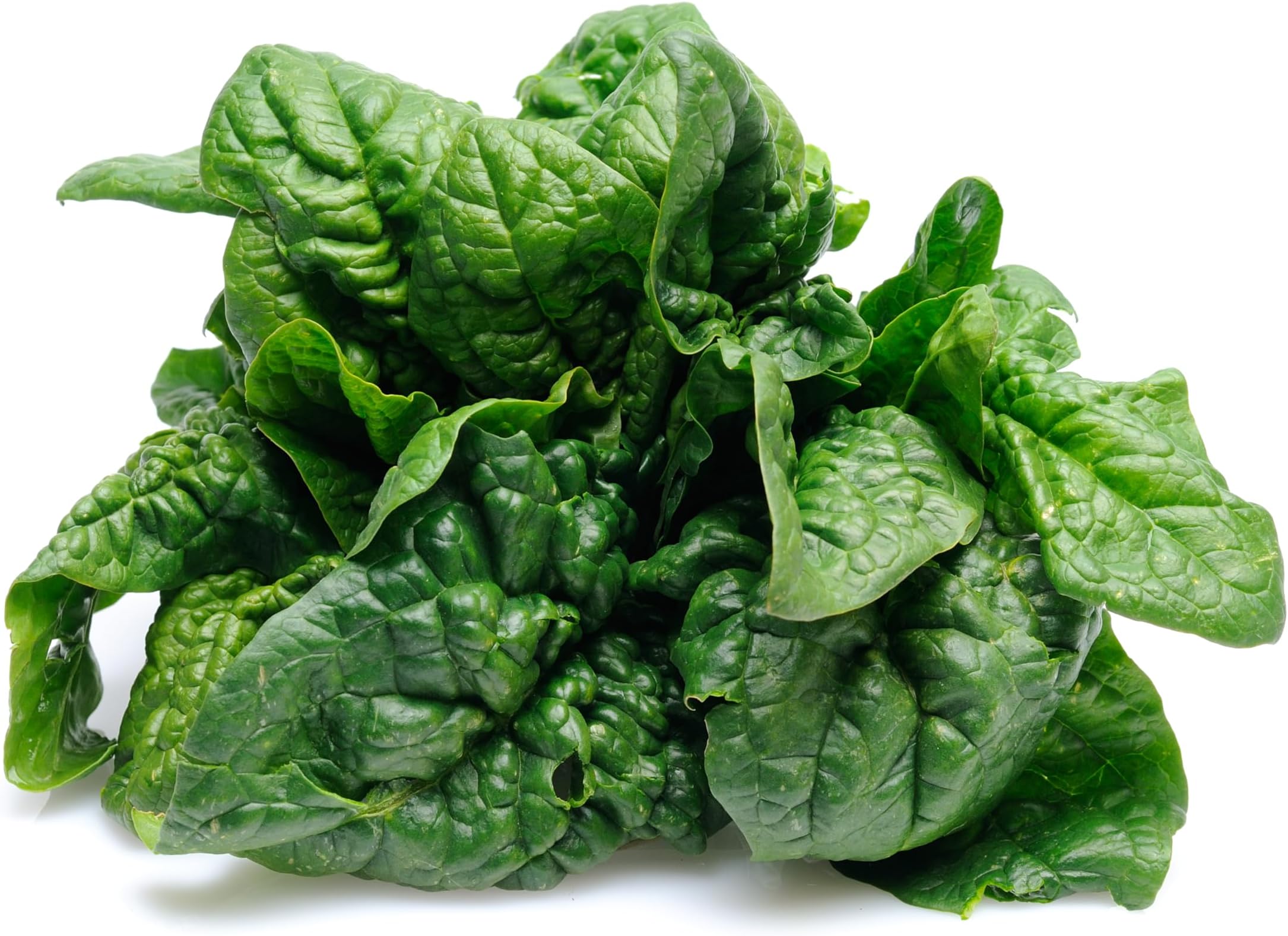 Amazon.com : 200+ Spinach Seeds- Giant Noble- Heirloom Variety by Ohio ...