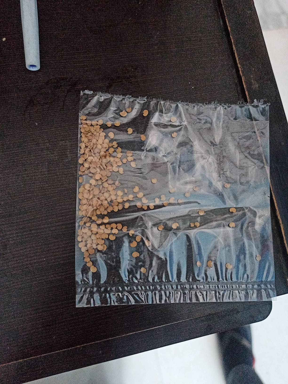 Kadam Sarputiya Vegetable Seeds 100 Seeds , Satputita Beej , Desi ...