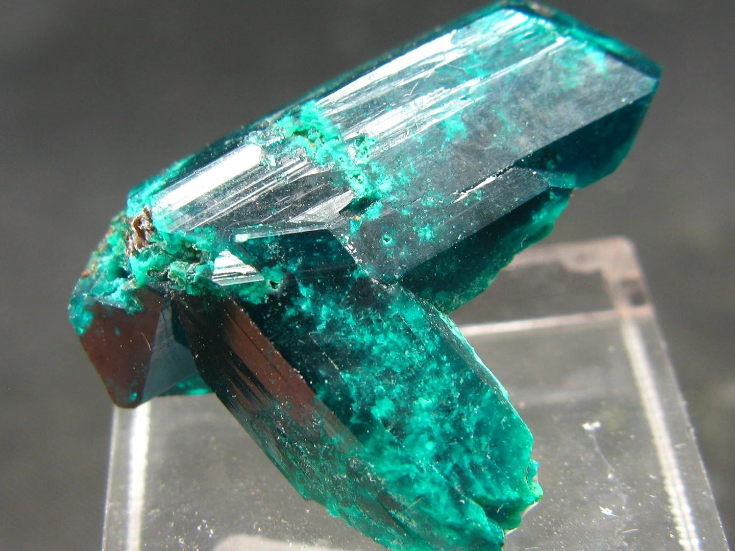 Amazon.com: Huge Dioptase Dioptaze Crystal From Congo - 0.8 ...
