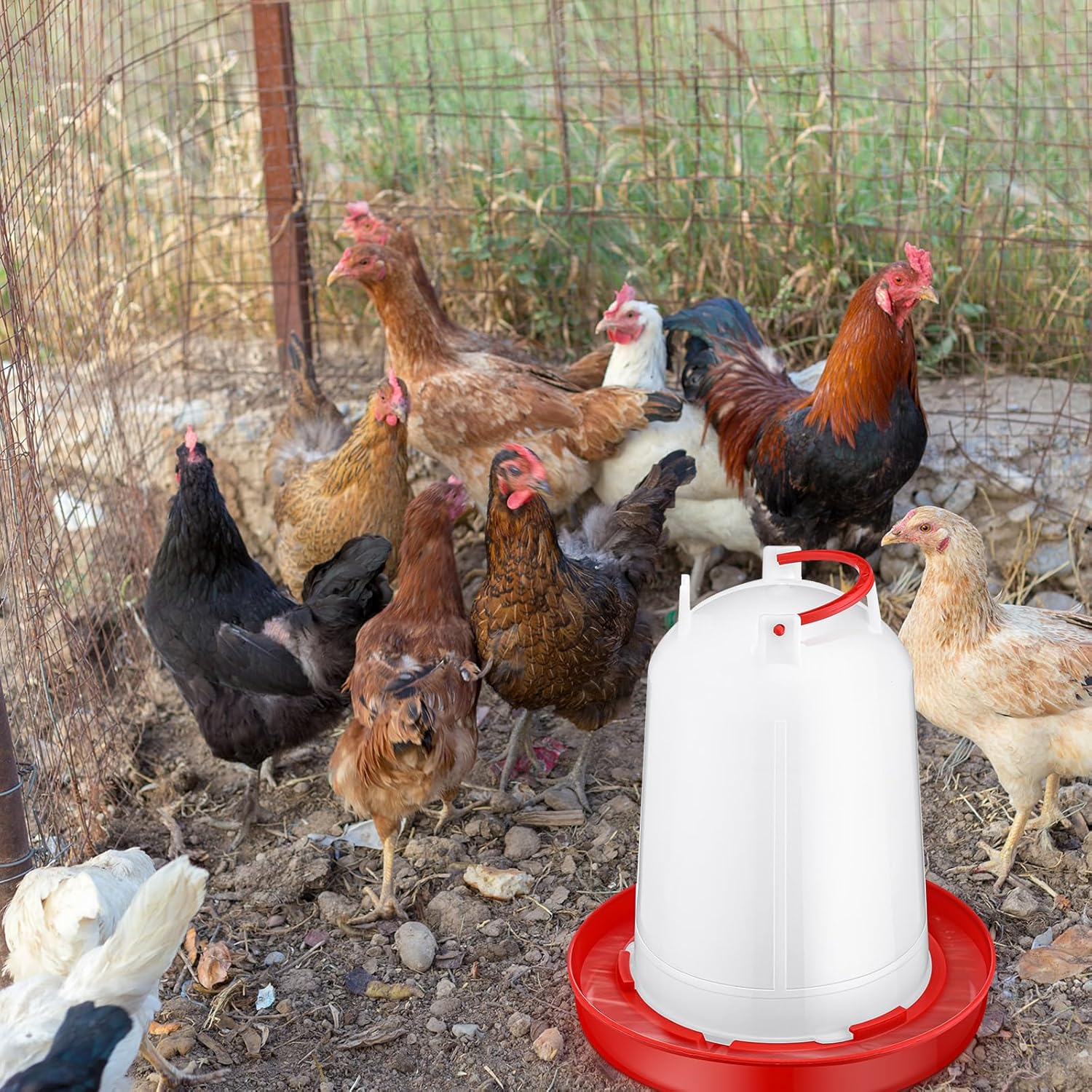 Pickmesh 2 Pcs 2 Gallon Plastic Poultry Drinker Philippines | Ubuy