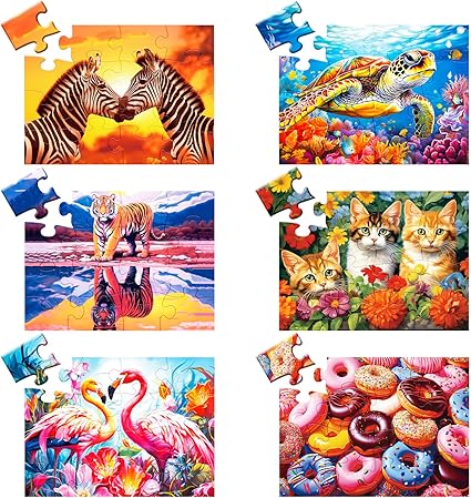 Amazon.com: 6 Packs 16 Piece Large Piece Jigsaw Puzzle Dementia ...