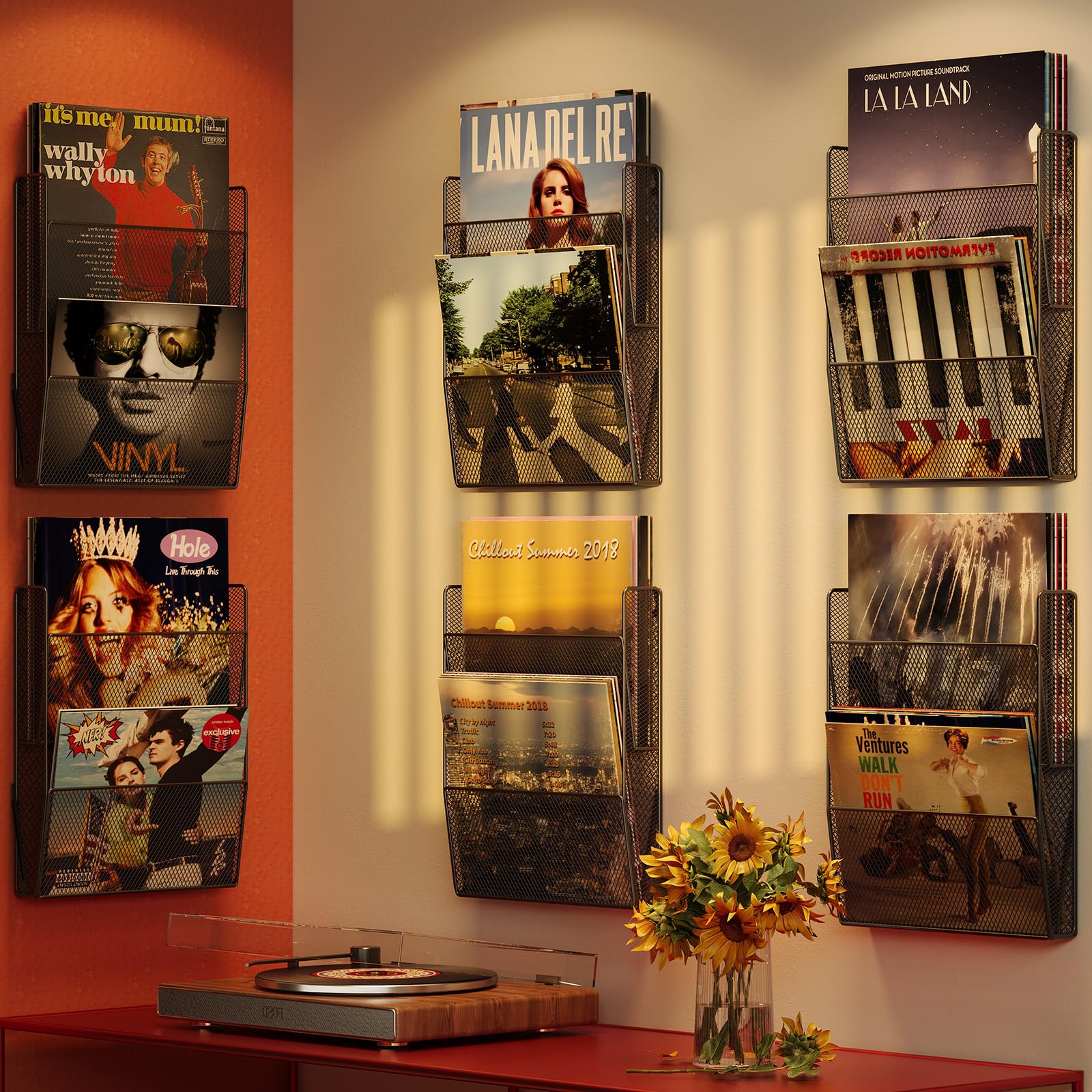 2 Pack Floating Vinyl Record Holder, No Assembly Required, 16.1 inch ...