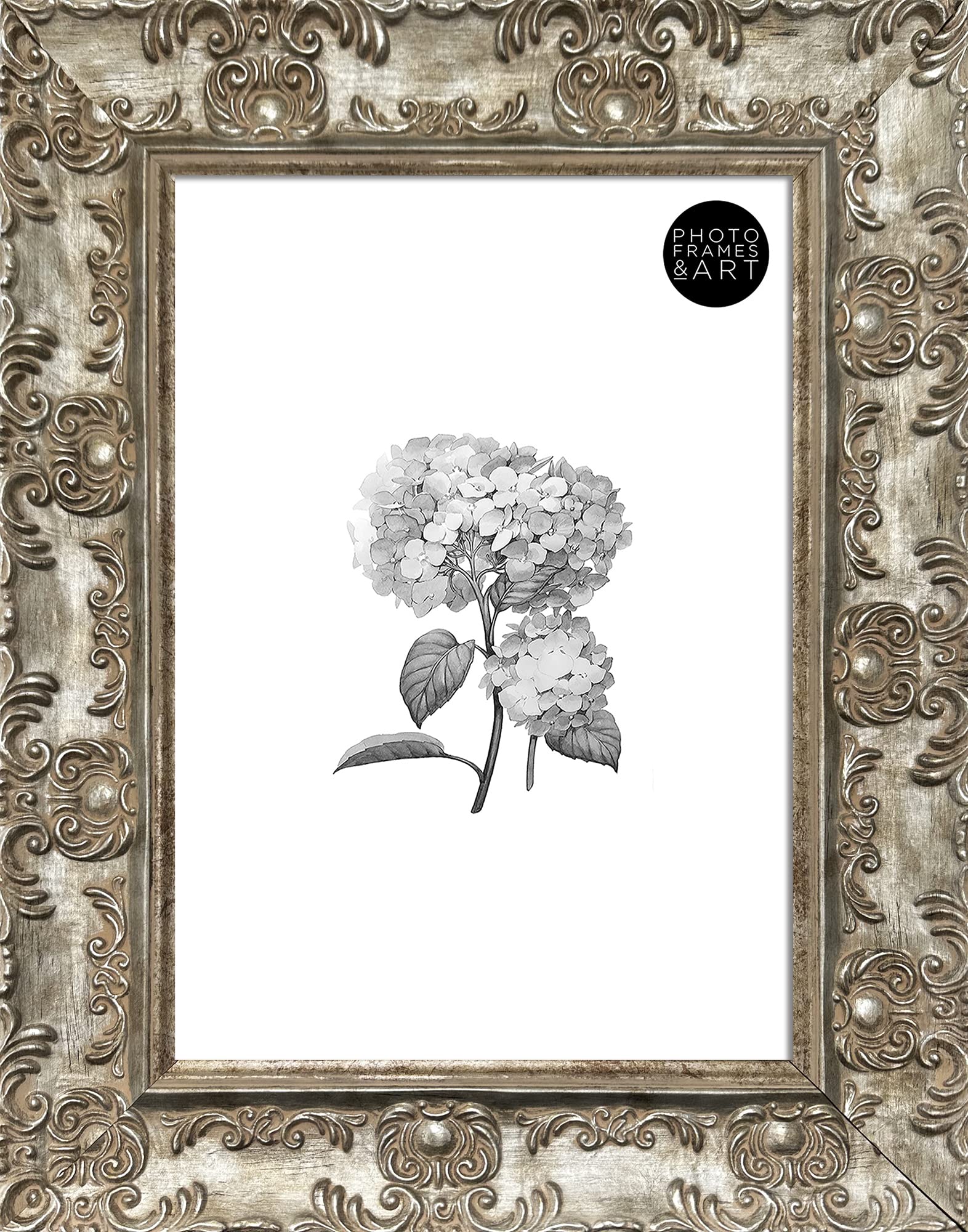 Antique Frames Drawing