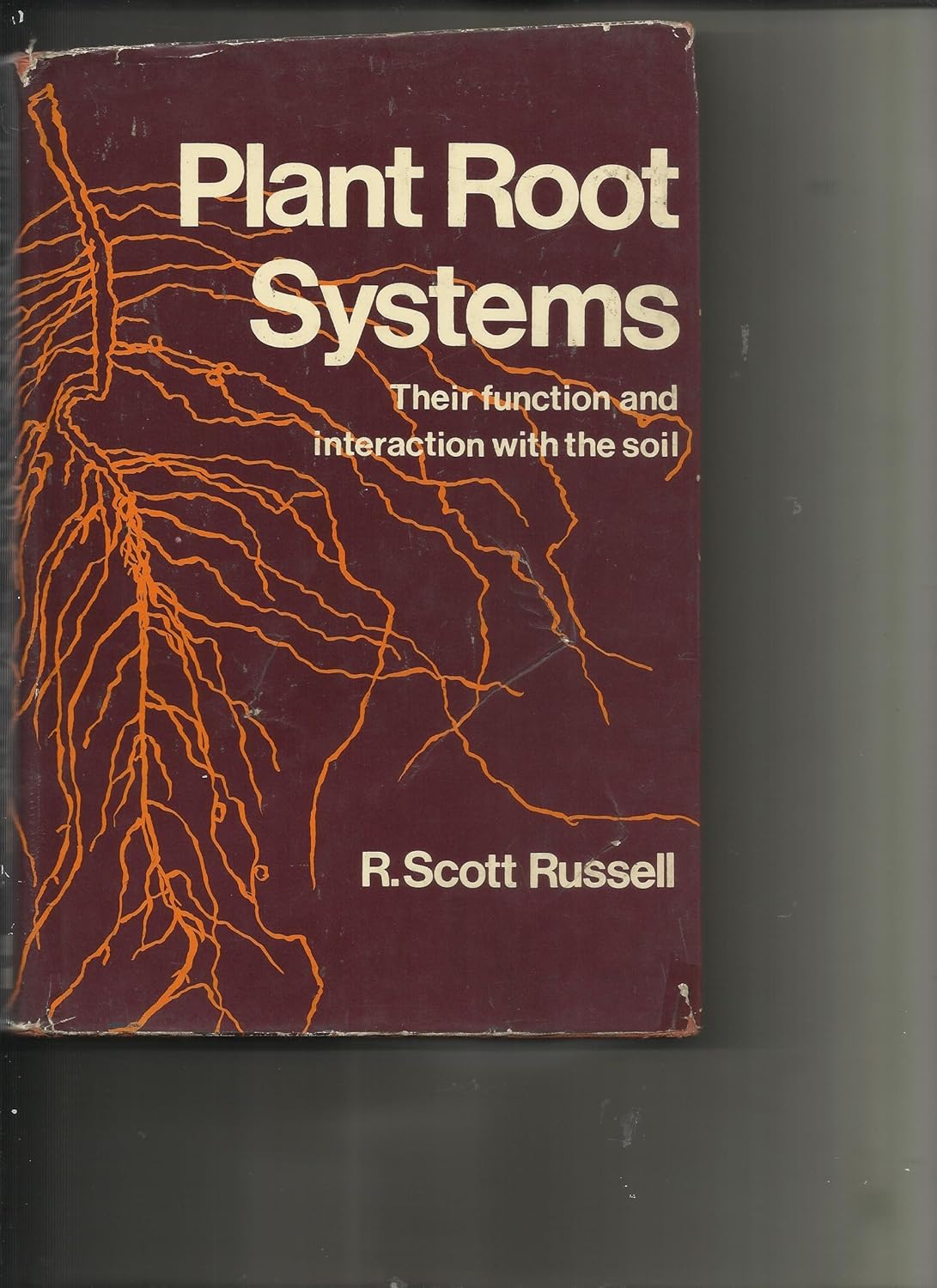 Amazon.com: Plant Root Systems: Their Functions and Interaction With ...
