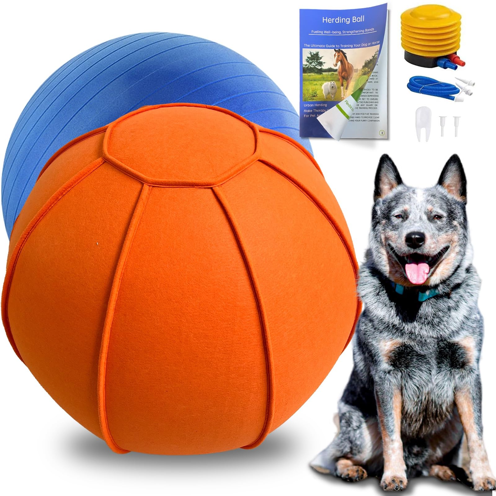 Pet Supplies : Herding Ball for Dogs, 25" Ball Large for Blue Heeler ...
