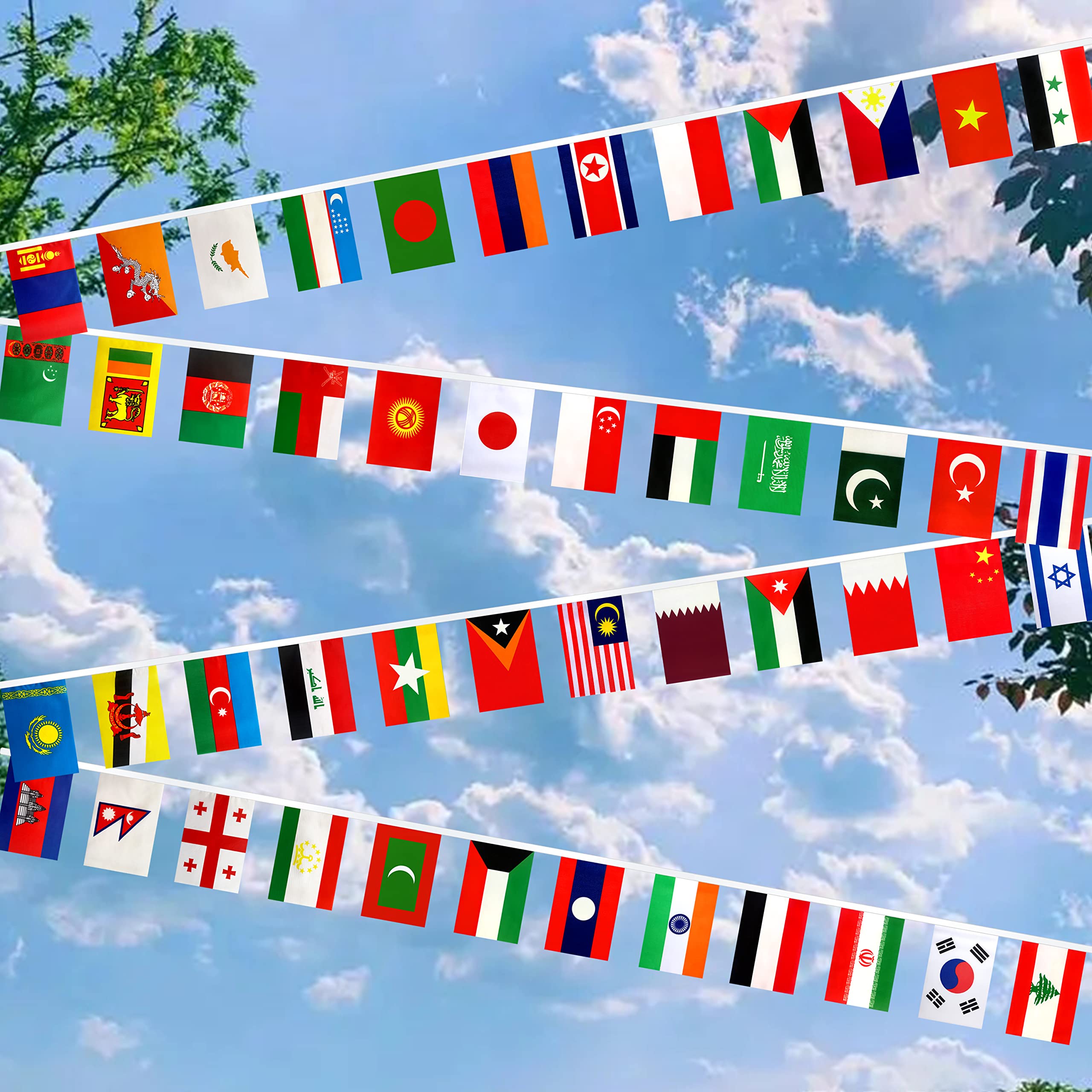South Asian Countries Flags 120,600+ South Asia Flag Stock Photos,