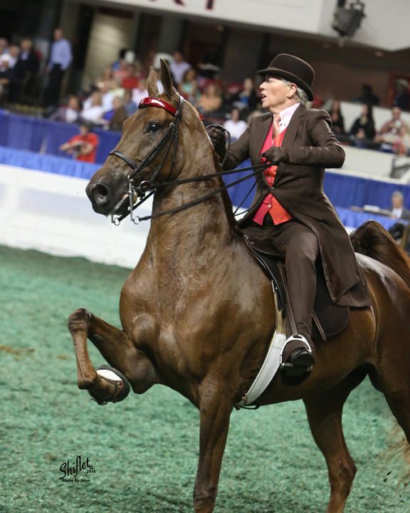 Amazon.com: Susan Archer: books, biography, latest update