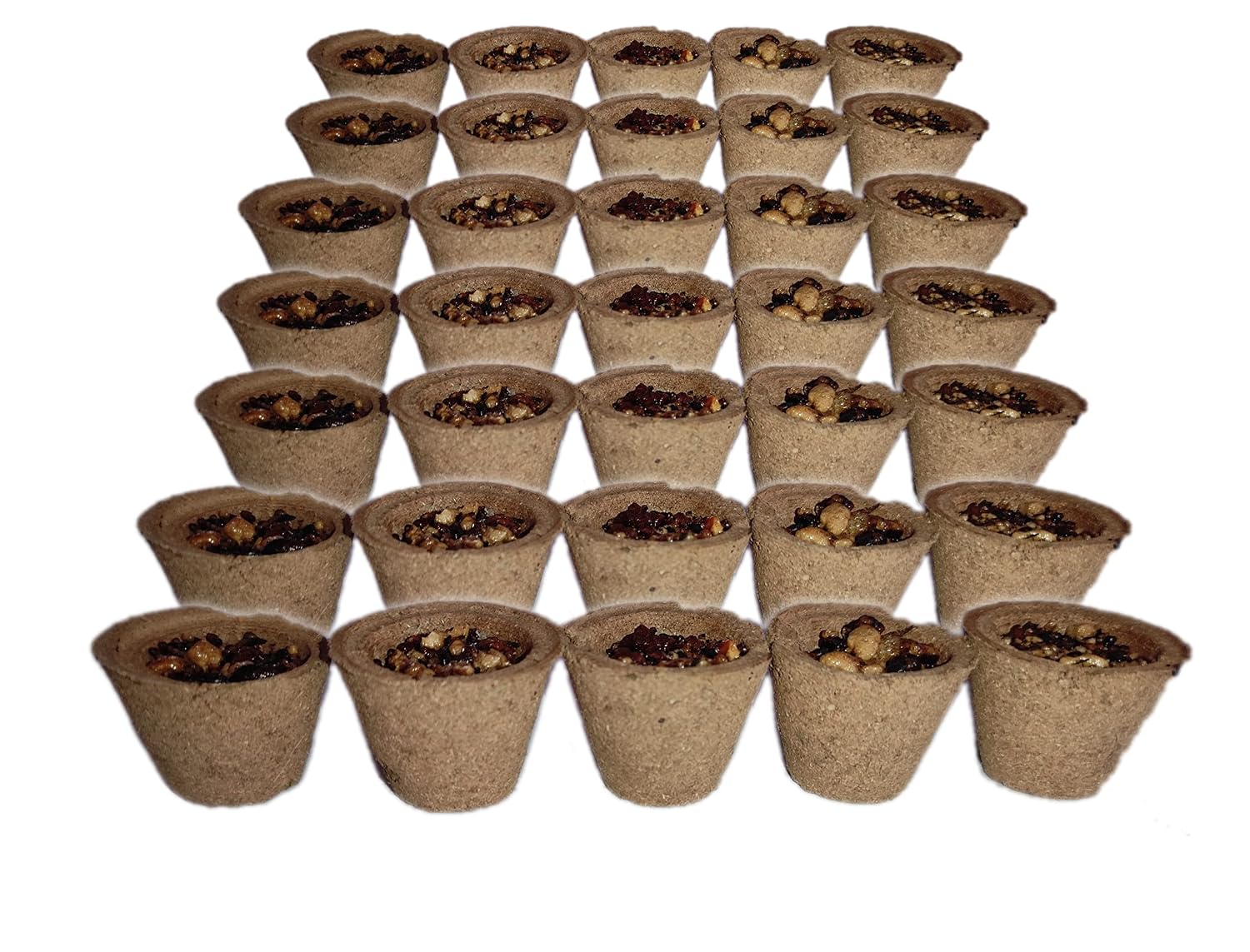 Byre Pure Guggal Dhuna Dhuni Cups Made with Cow Dung, Other Panchgavya ...