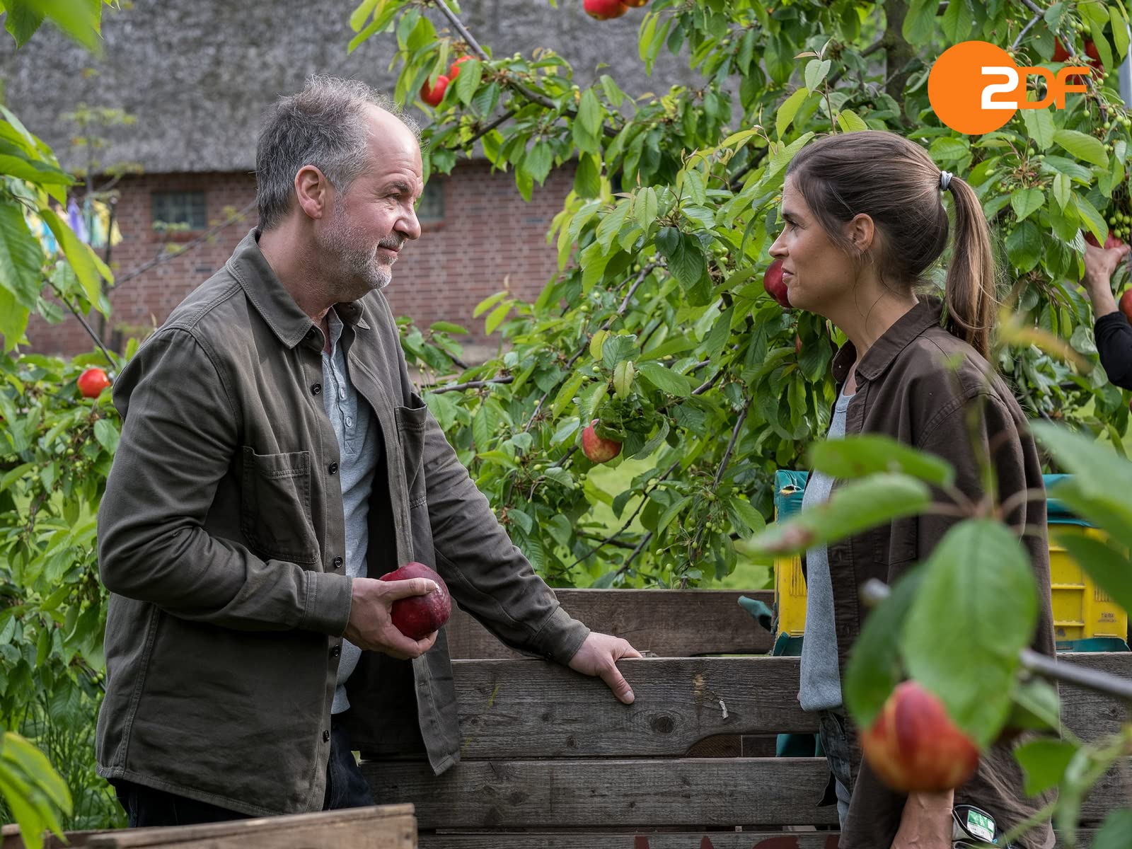 Amazon.de: SOKO Hamburg, Staffel 4 ansehen | Prime Video