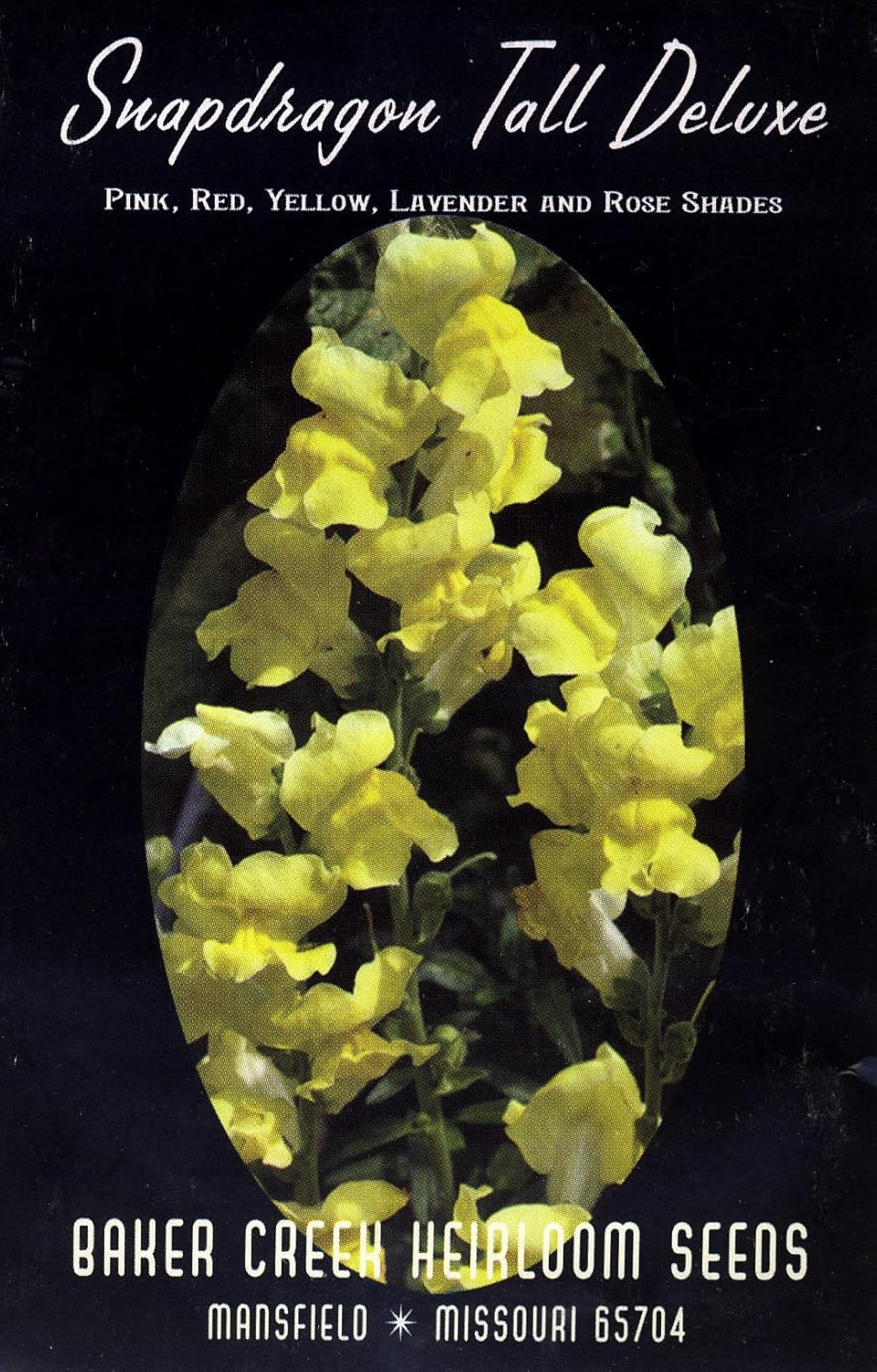 Amazon.com : Honeyman Farms 2675 Tall Deluxe - Snapdragon Seed Packet ...