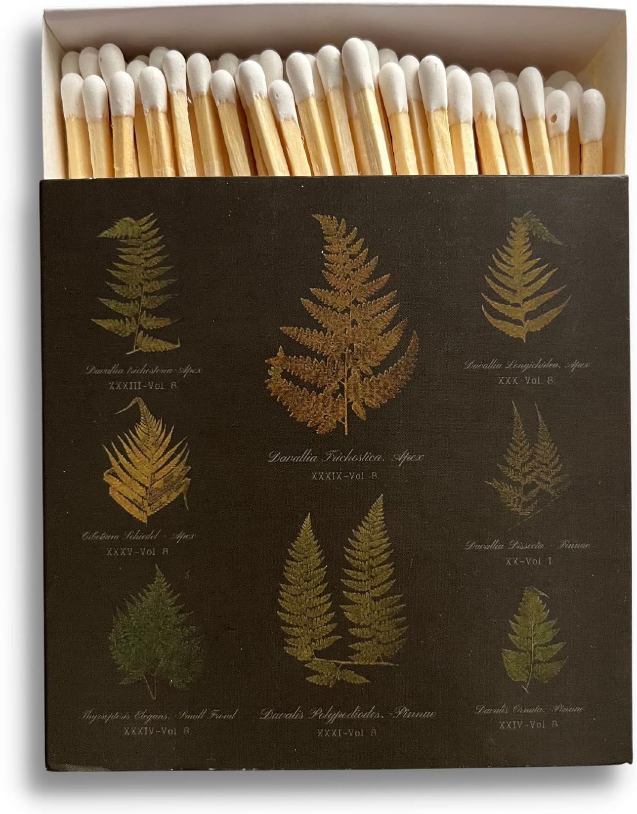 Curator Home Luxury Gift Long Safety Matches I Stylish Square Matchbox ...