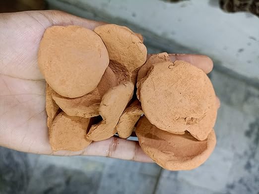 Authentic Fresh Punjabi MITTI Pack OFl 1000 GMS : Amazon.in: Toys & Games