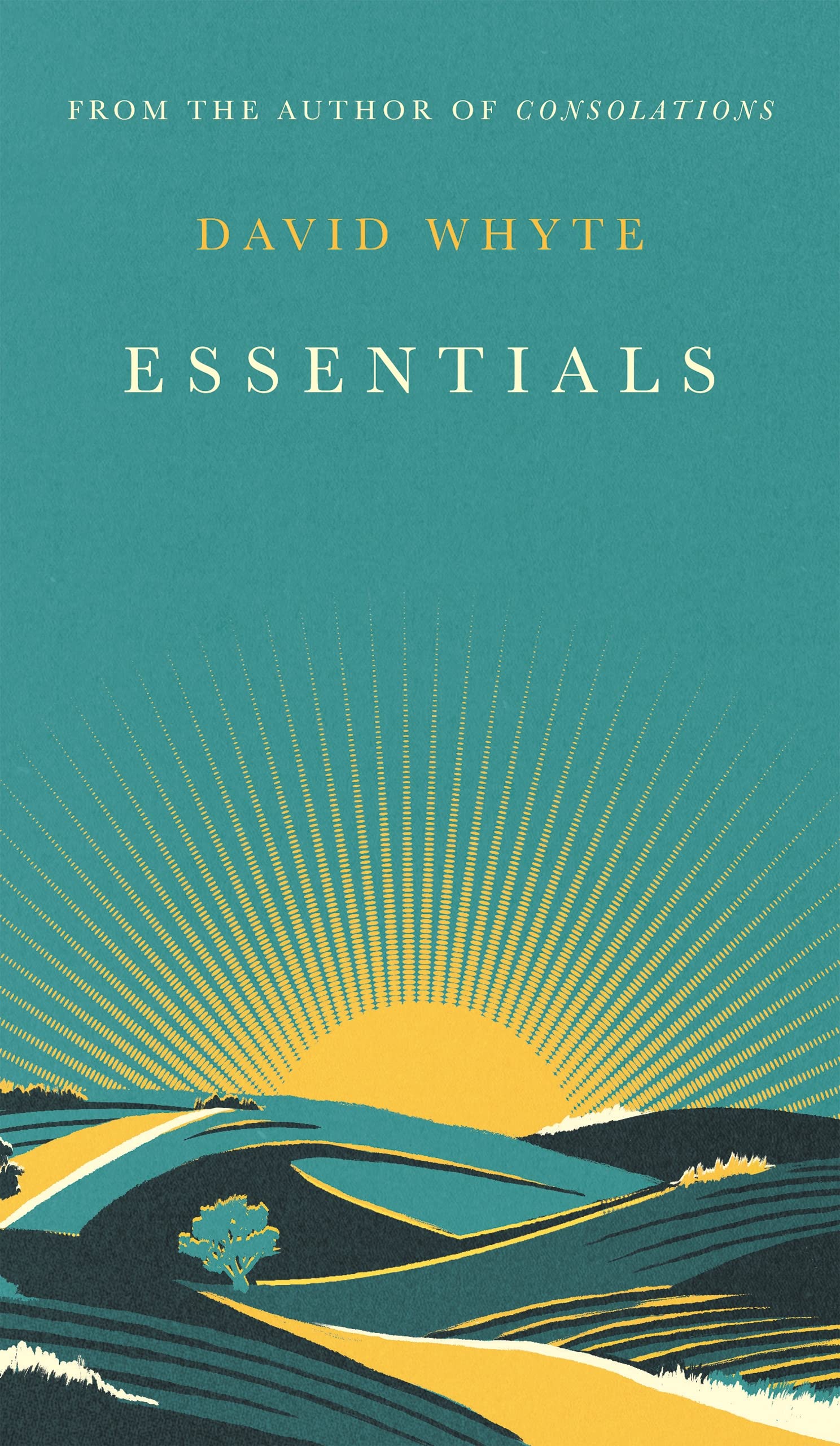 Essentials: David Whyte: 9781838858124: Amazon.com: Books
