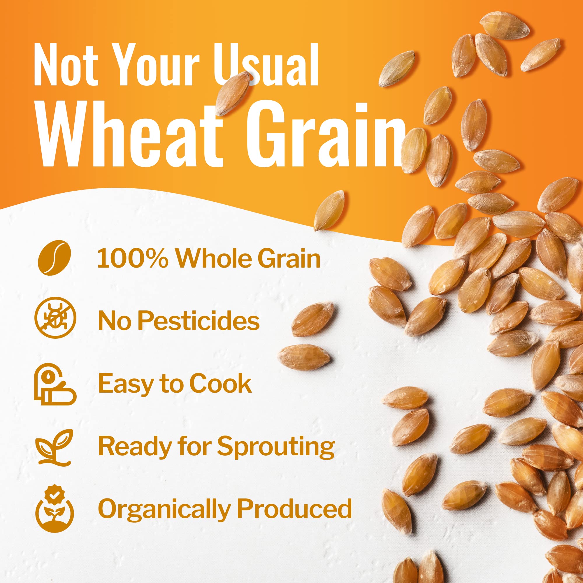 Snapklik.com : Grand Teton - 100% Organic Hard White Wheat Berries US ...